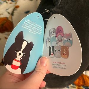Squishmallows | Toys | Squishmallow George Nwt | Poshmark